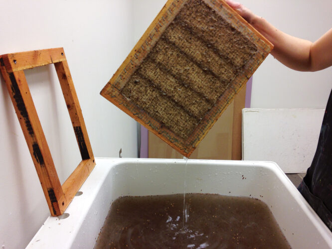 How to Make Paper From Plants – Mother Earth News